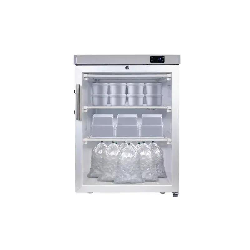 SnoMaster 97L Under-Counter Freezer SM-220-F | Appliance World