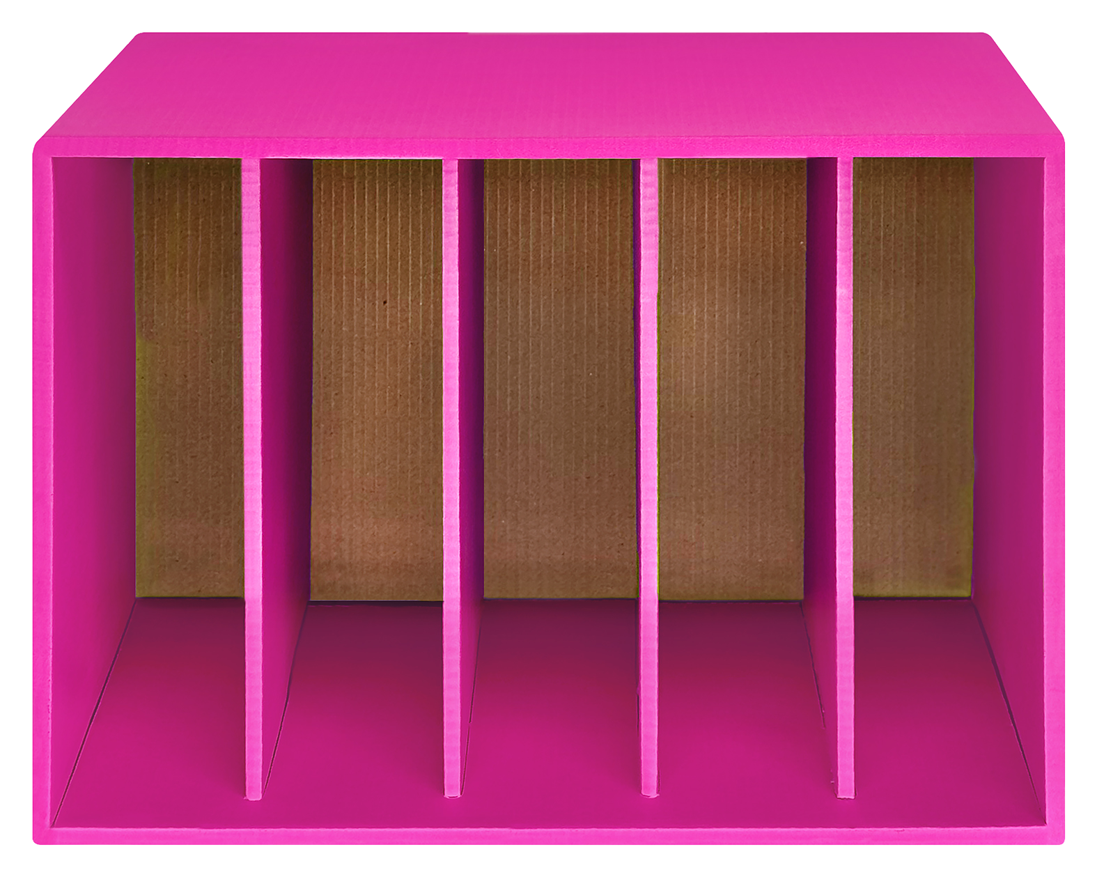 storage file - 5 compartment - pink | Office National