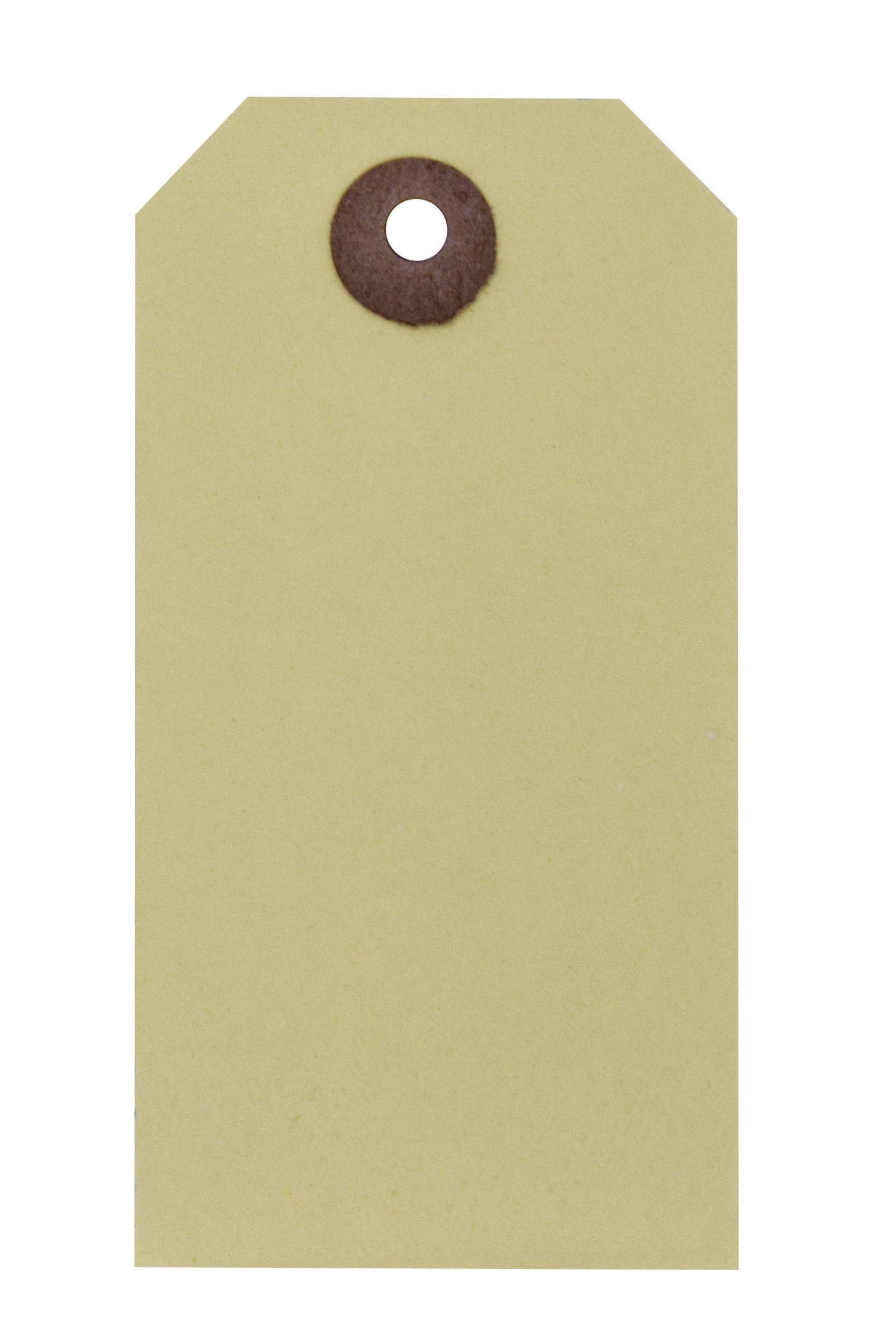 buff tags - no.3 - 95 x 48mm - buff - 1000 pack | Office National