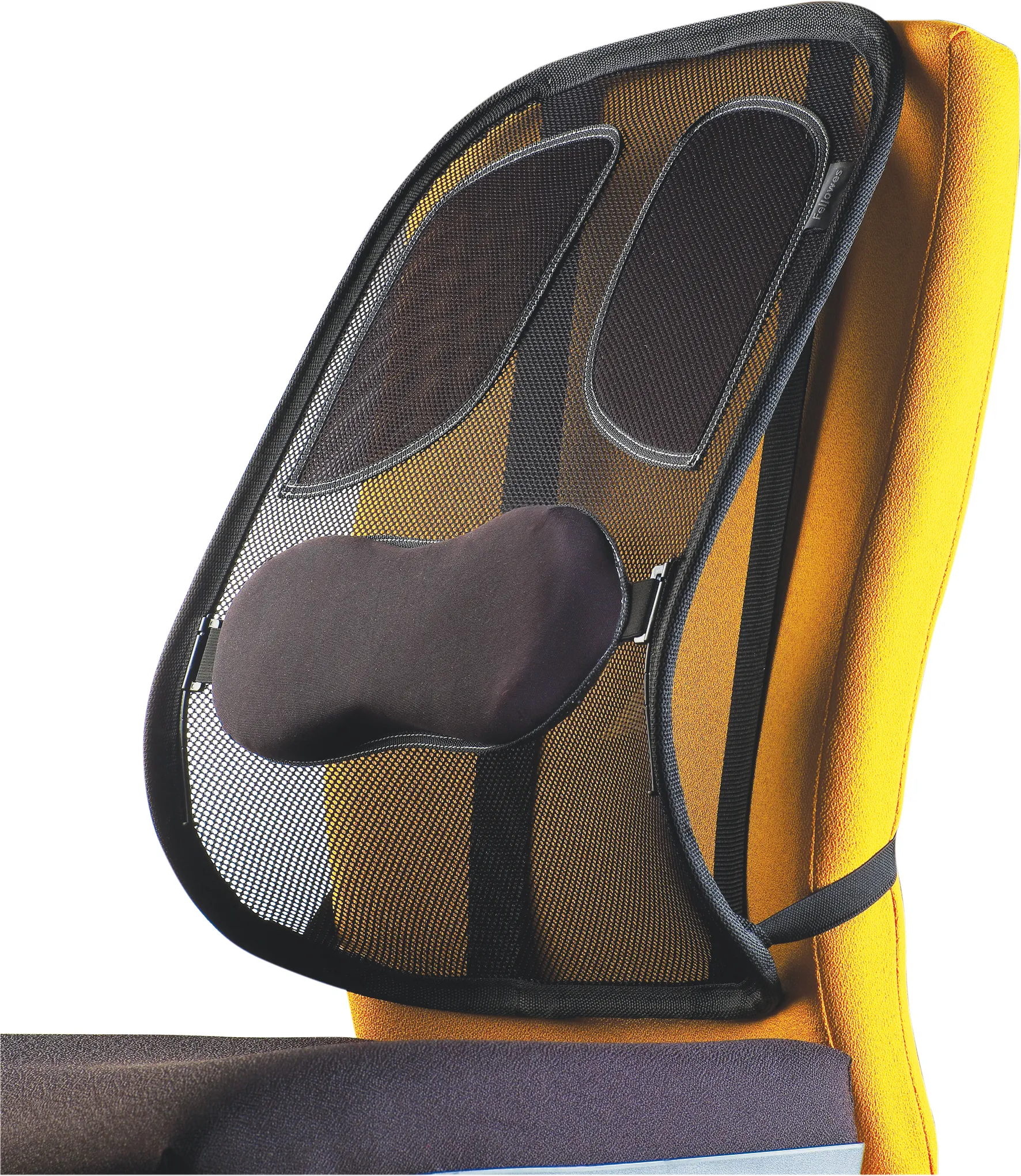 mesh back supports - professional series™ | Office National