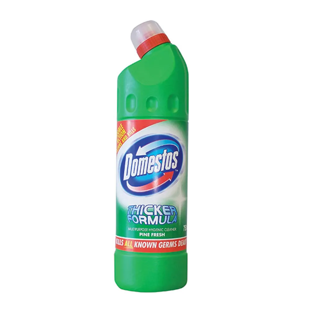 detergents - domestos 750ml | Hout Bay Office National