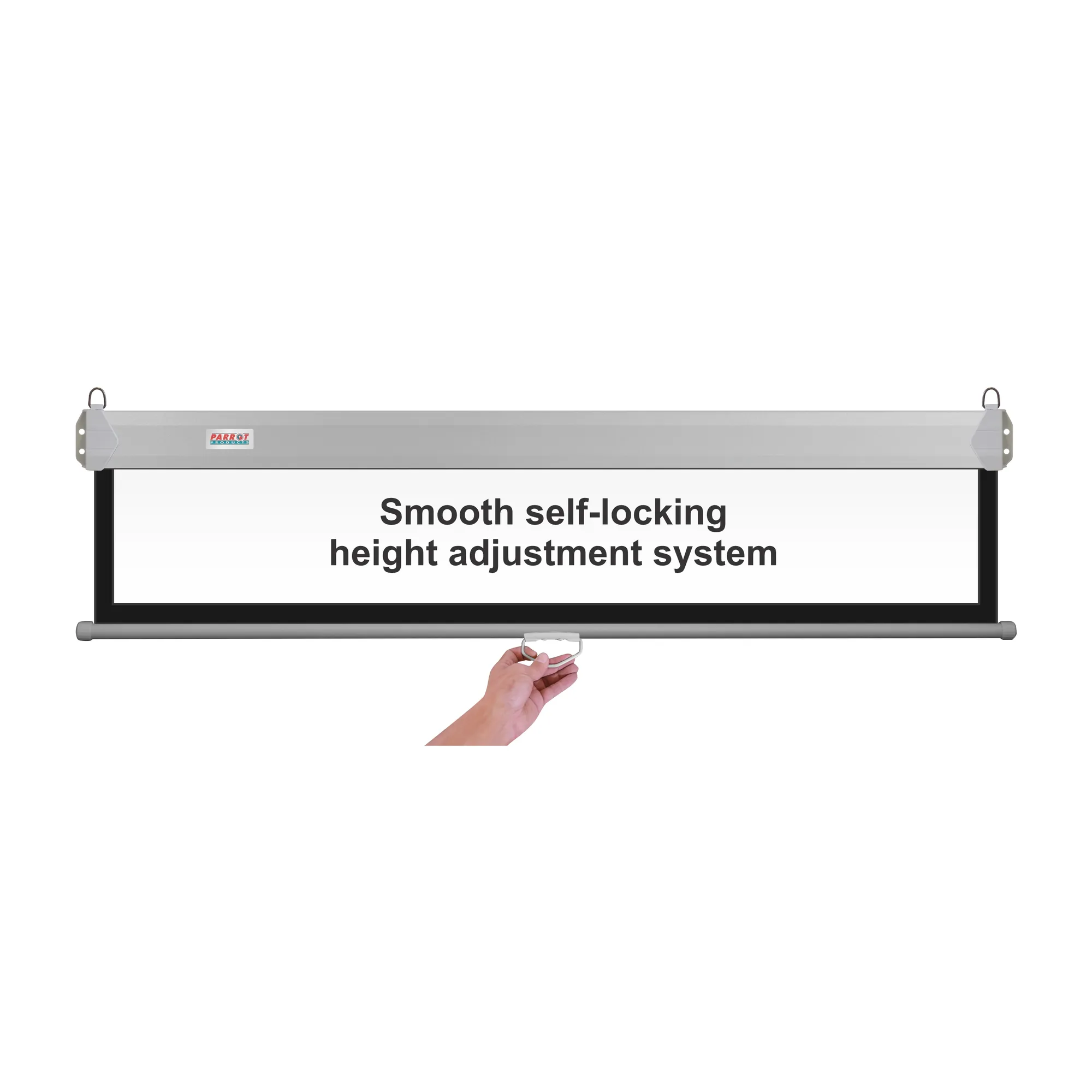 pull-down screens - 3050 x 2310mm | Folio Office National