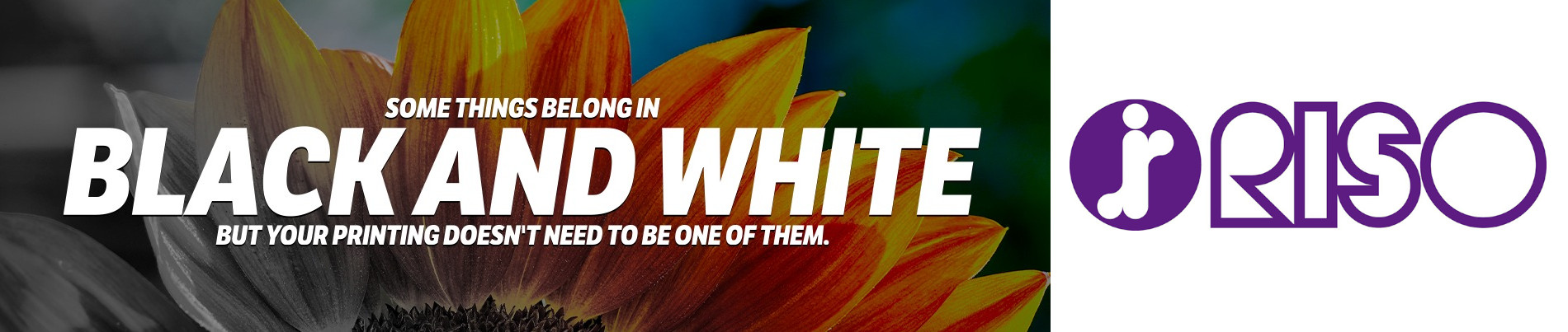 Original RISO Masters and Ink Cartridges | Shop RISO | CH Africa