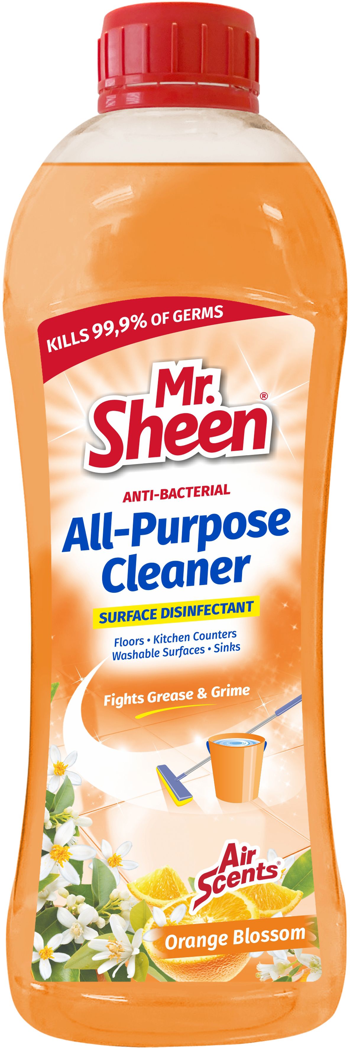 mr sheen all purpose cleaner assorted 1 litre | Formax