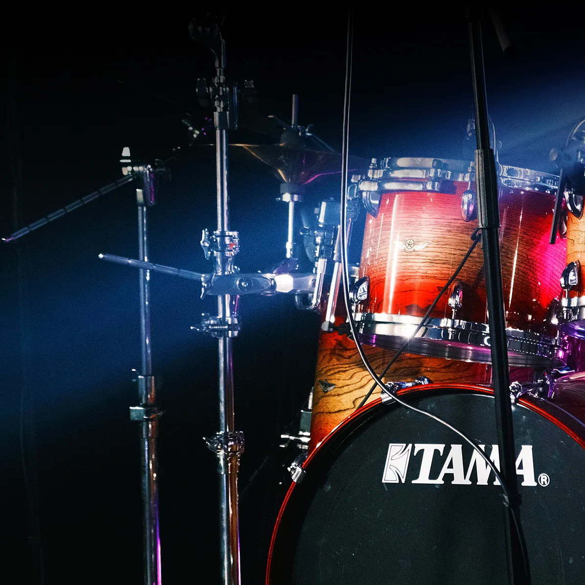 Planetworld: Premium Audio Solutions for Home, Car, and Professional AV ...