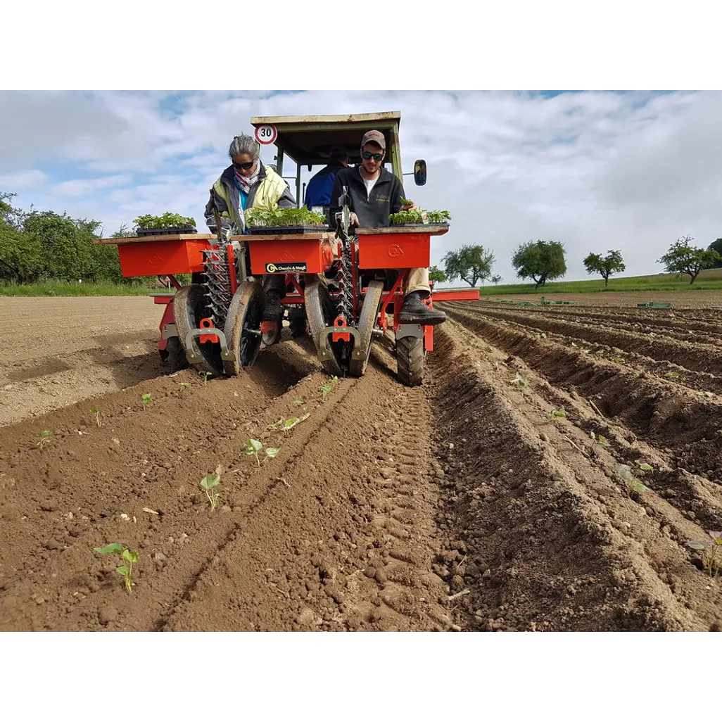 Gripper Type Vegetable Planter Foxdrive Plus | Rovic