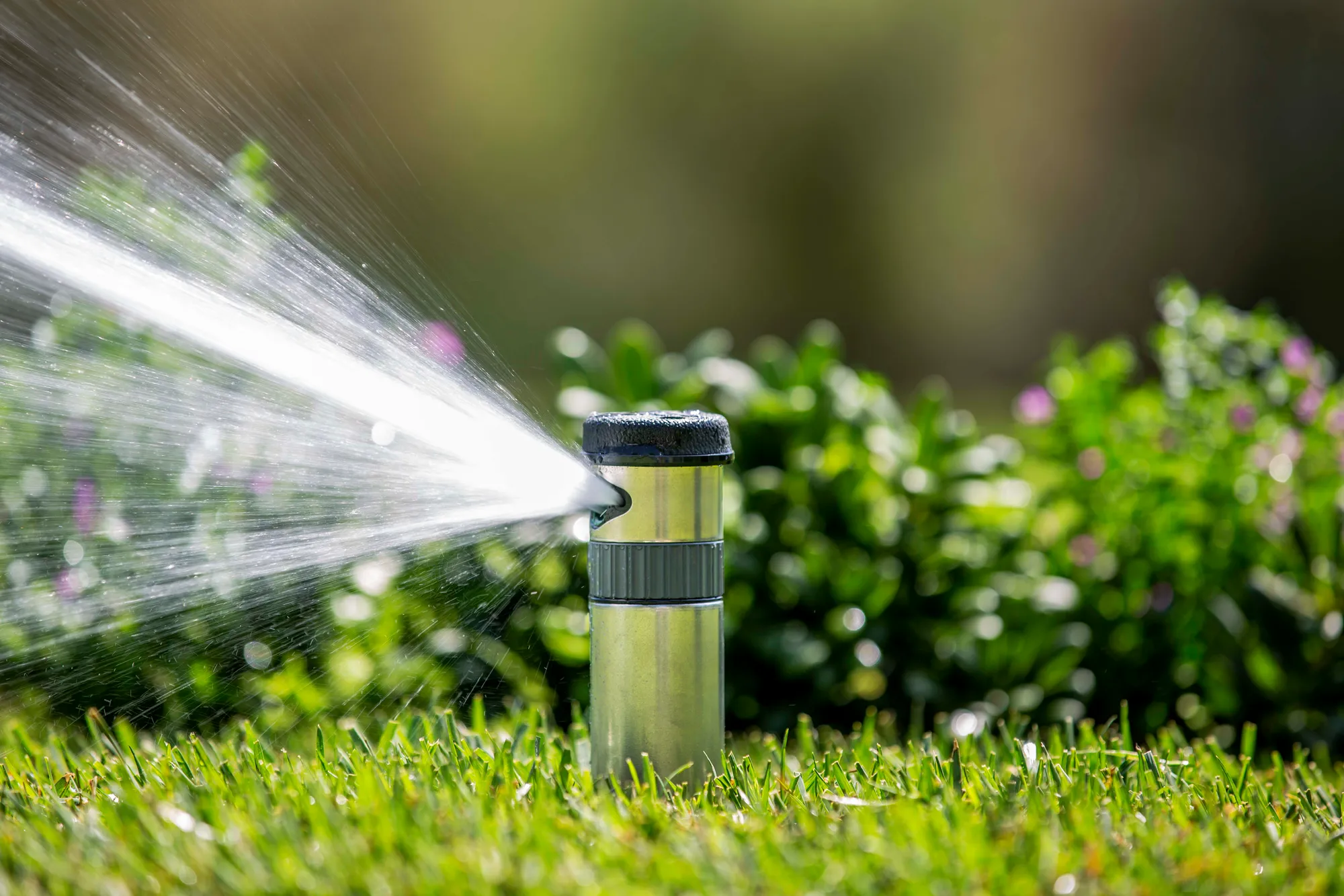 I 50 Gear Driven Rotors | Rovic