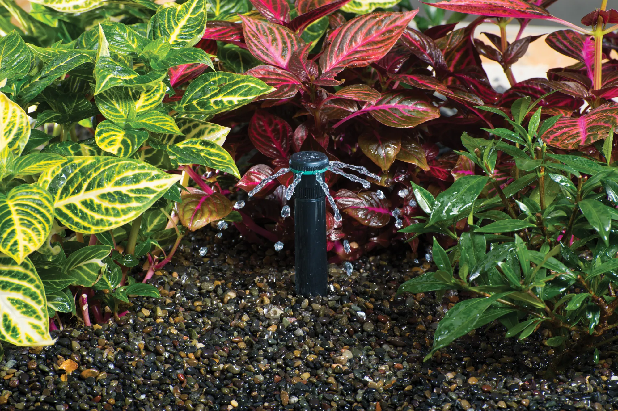 Multi Stream Bubbler Nozzles | Rovic