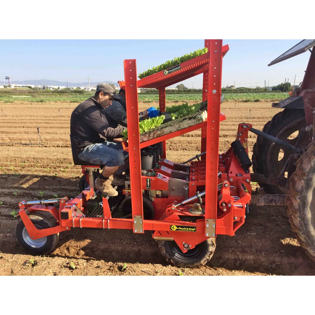 Rotary Cup Transplanter Baby Compact | Rovic