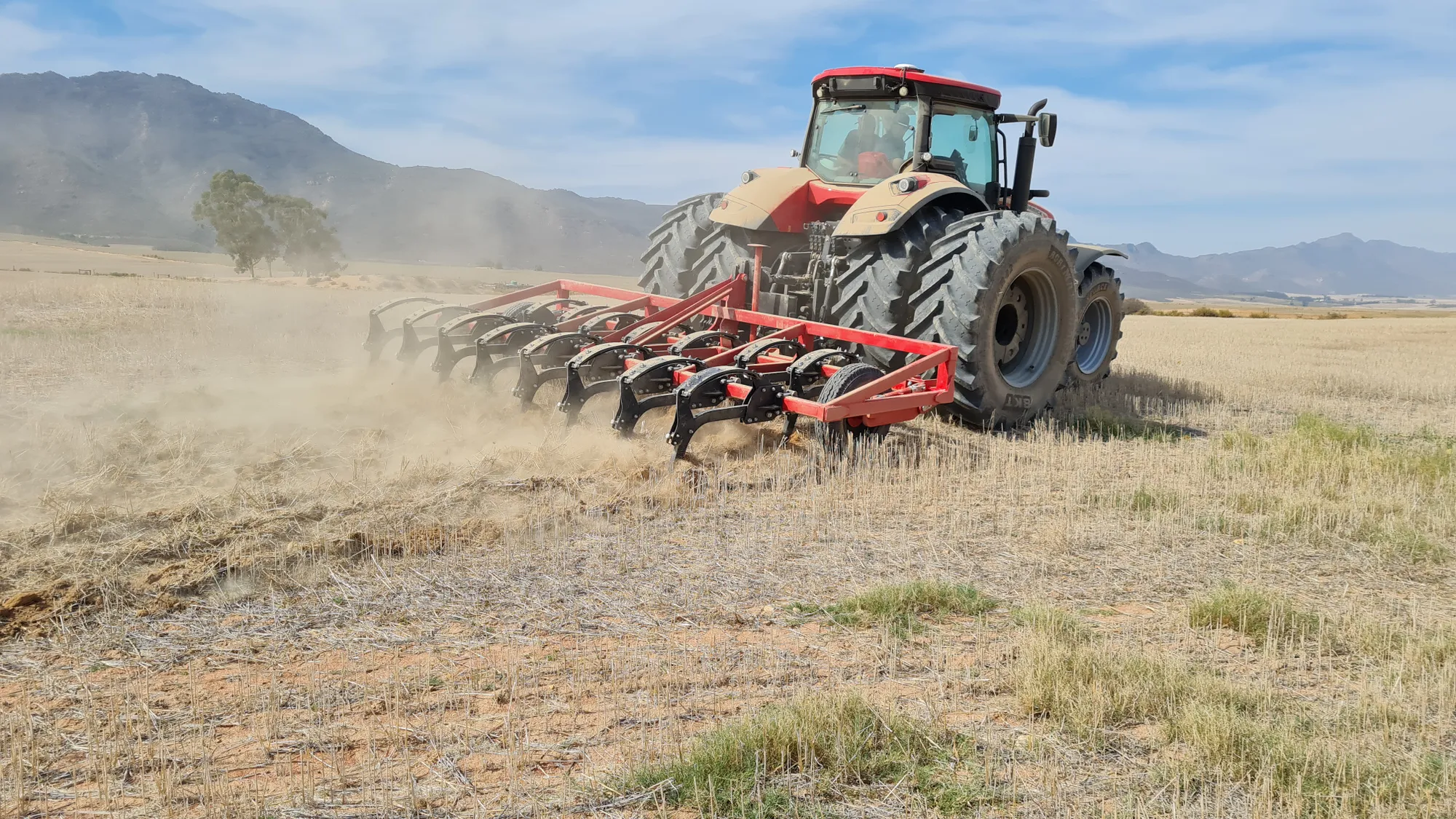 Super 19 Rippers | Rovic