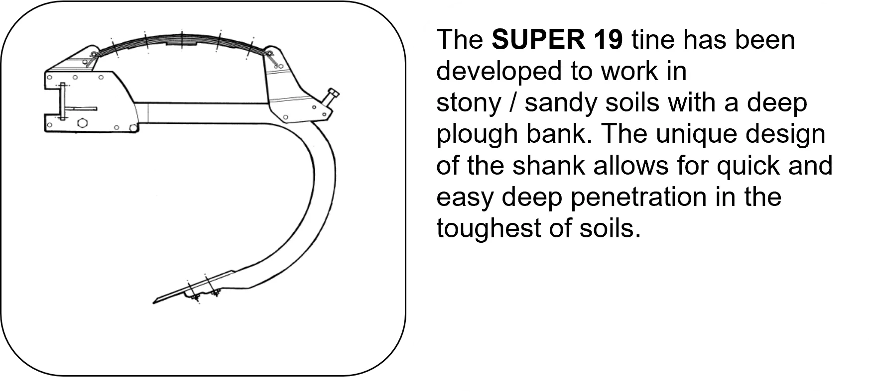 Super 19 Rippers | Rovic