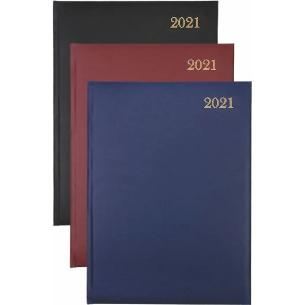 SAD Diary Padded Standard Colours Page-A-Day Perimeter Stitched A4 ...