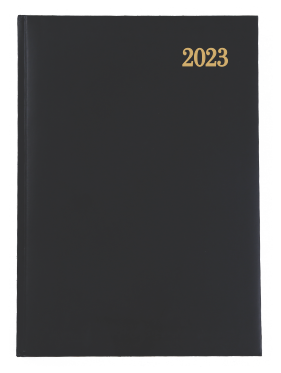 SAD Diary Padded Standard Colours Page-A-Day Perimeter Stitched A4 ...