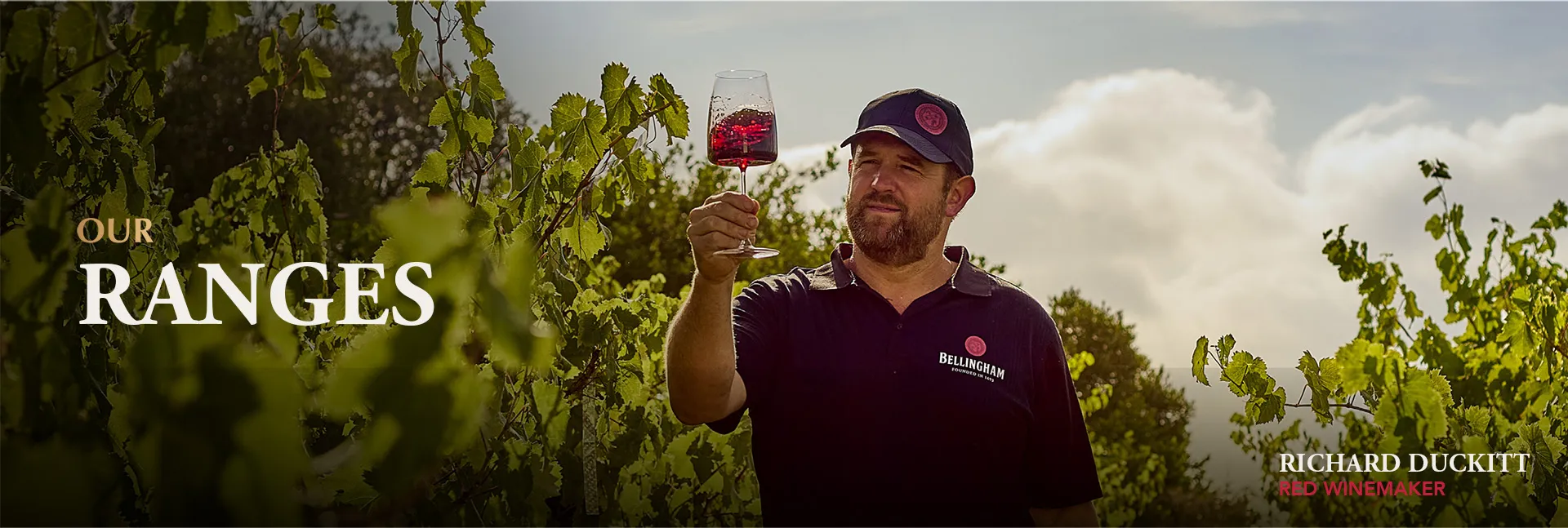 Our Wines | Our Ranges | Bellingham