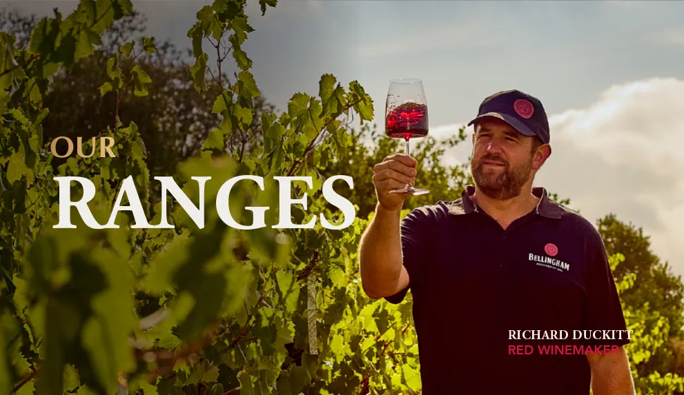 Our Wines | Our Ranges | Bellingham