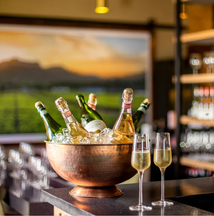 TASTING ROOM | Franschhoek Cellar